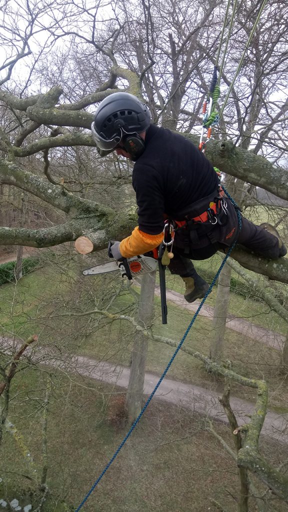 Griere Paysage | Élagage